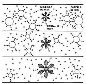 Coalescencia | La Guía de Química